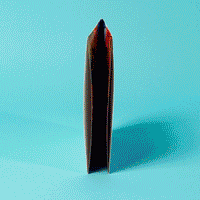 Interscope Vinyl Collective – Interscope Records