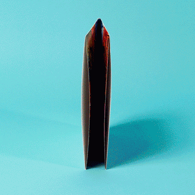 Interscope Vinyl Collective – Interscope Records