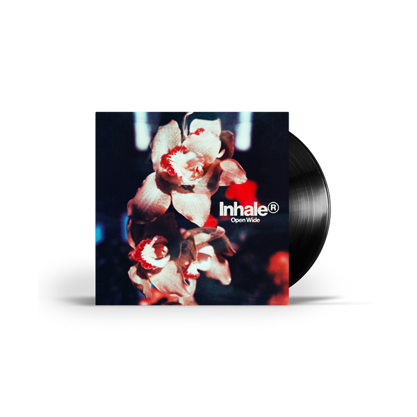 Vinyl Shop - Interscope Records